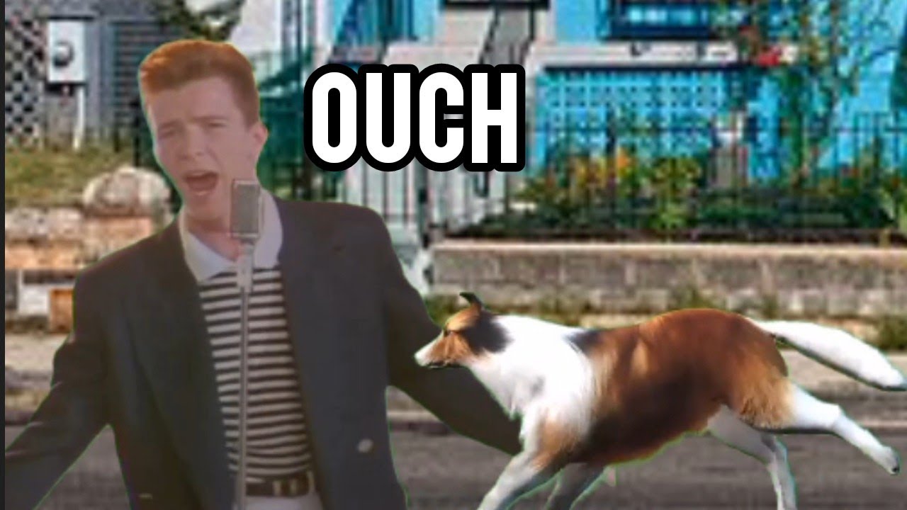 Dogs Bites Rick Astley - YouTube