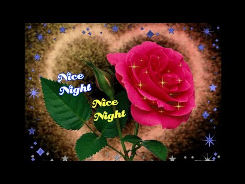 GOOD NIGHT video