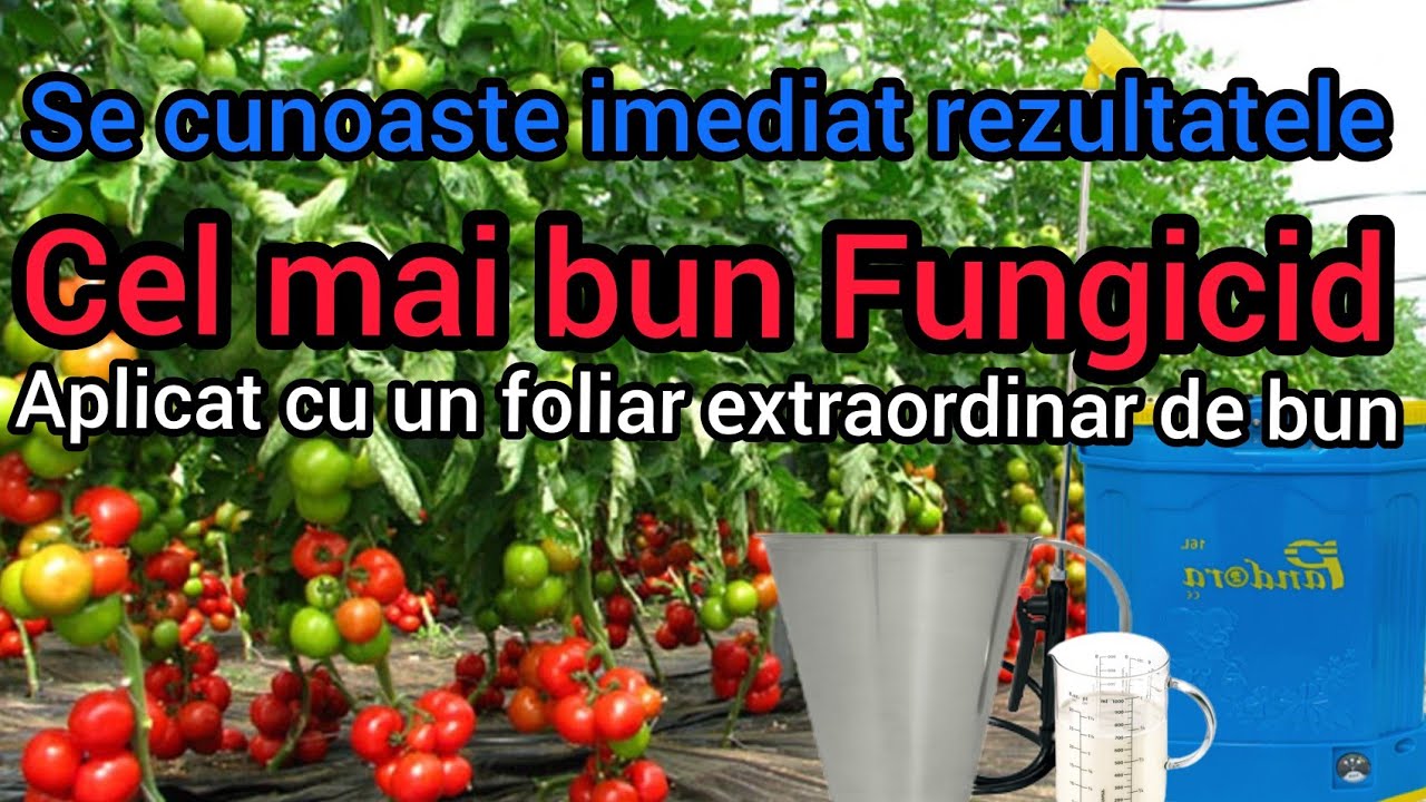 Reteta naturala de tratament la legume fungicid natural si fertilizant ...