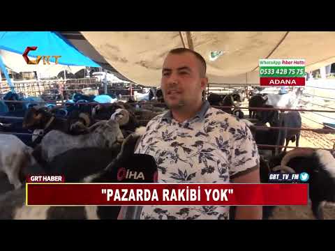 187 KİLOGRAM AĞIRLIĞINDAKİ ’PAŞA’ İSİMLİ TEKE PAZARIN GÖZDESİ