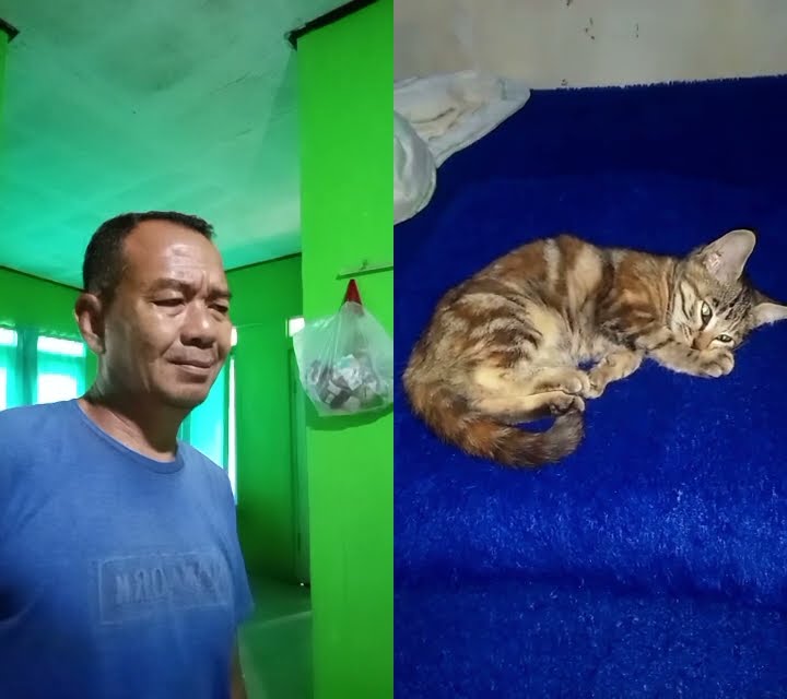 Kasian banget.. menk... #kucing #cat #cutecat - YouTube