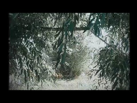 Creature [inside] - Gone (Visualizer) - YouTube