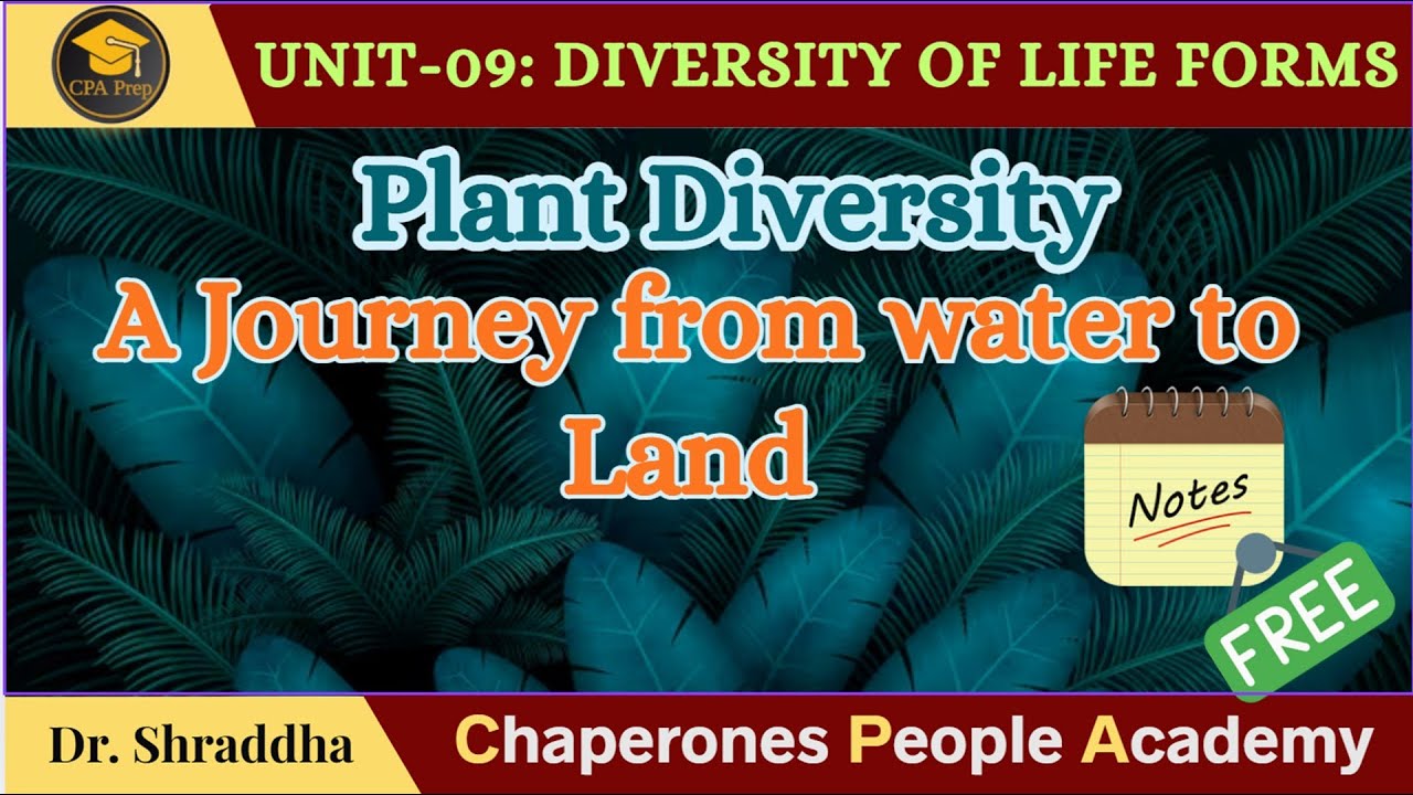 A Journey from Water to Land | Diversity of life forms| CSIR NET Life ...
