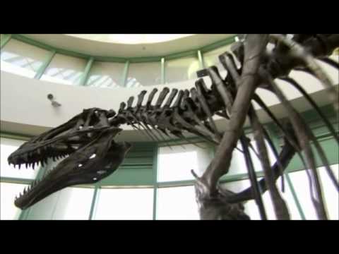 Giganten der Urzeit E03 Die Stachelechse Deutsch Teil 1/4 - YouTube