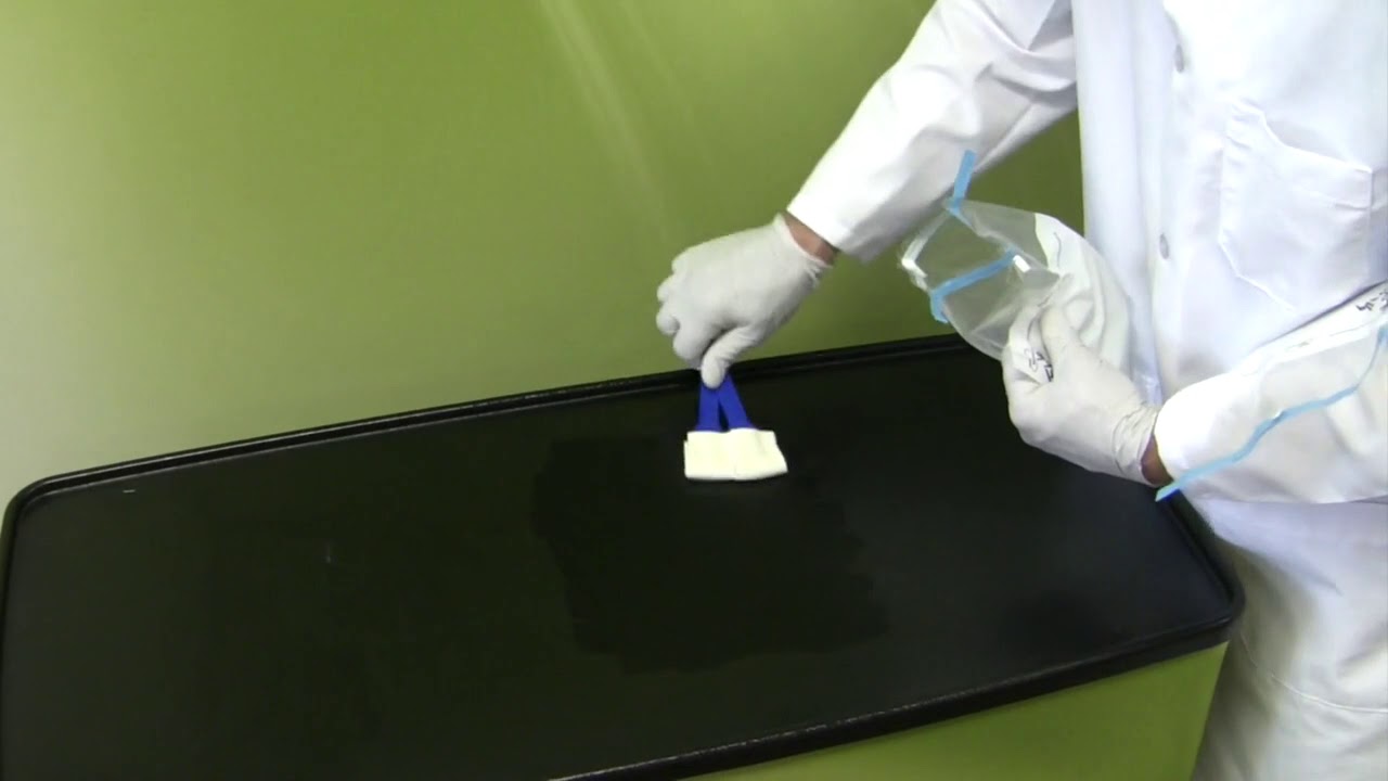 World Bioproducts EZ Reach™ Sponges 環境採樣海綿棒 ( EZ REACH™ SPLIT-SAMPLER ...