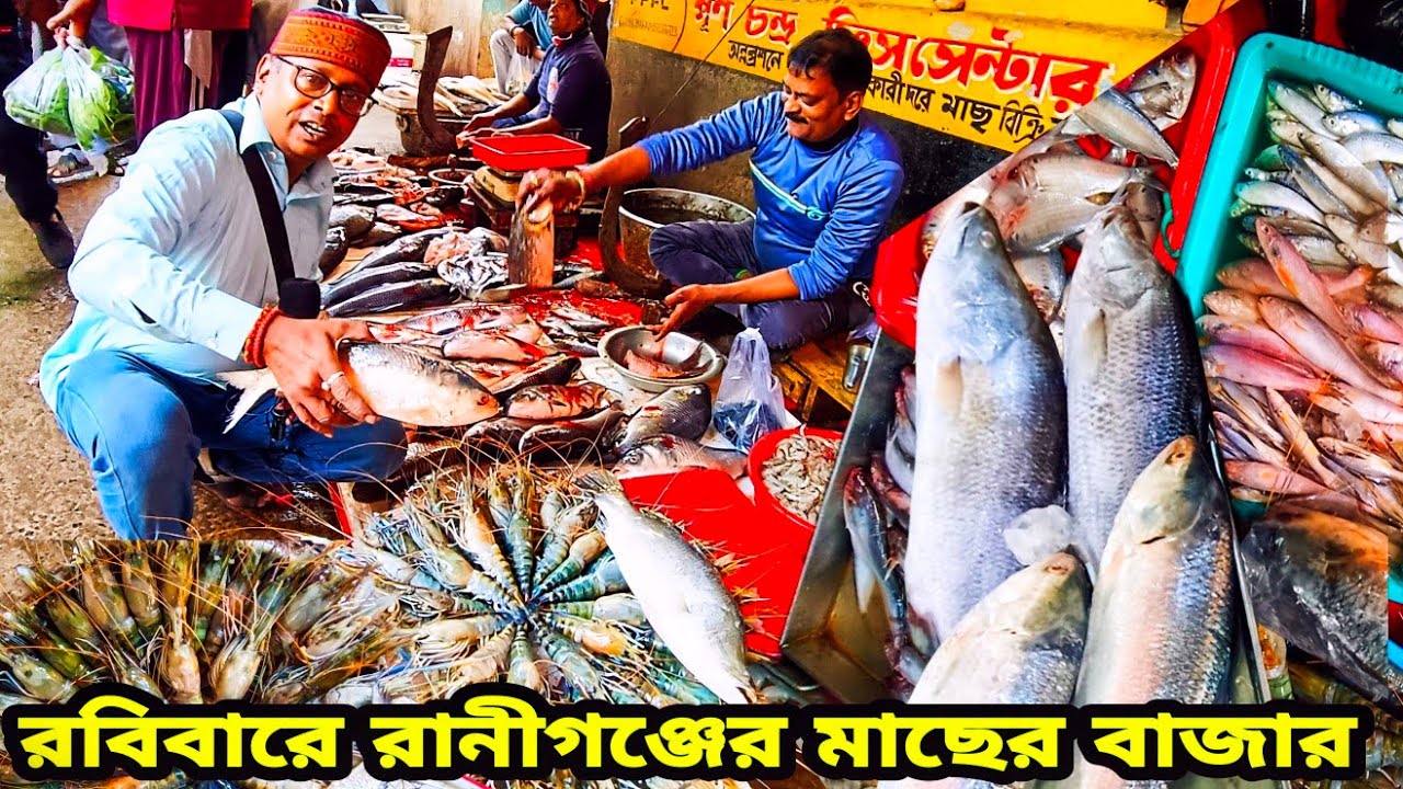 RANIGANJ FISH MARKET || VARIETIES FISH IN RANIGANJ MARKET & PRICE || 🐠 ...