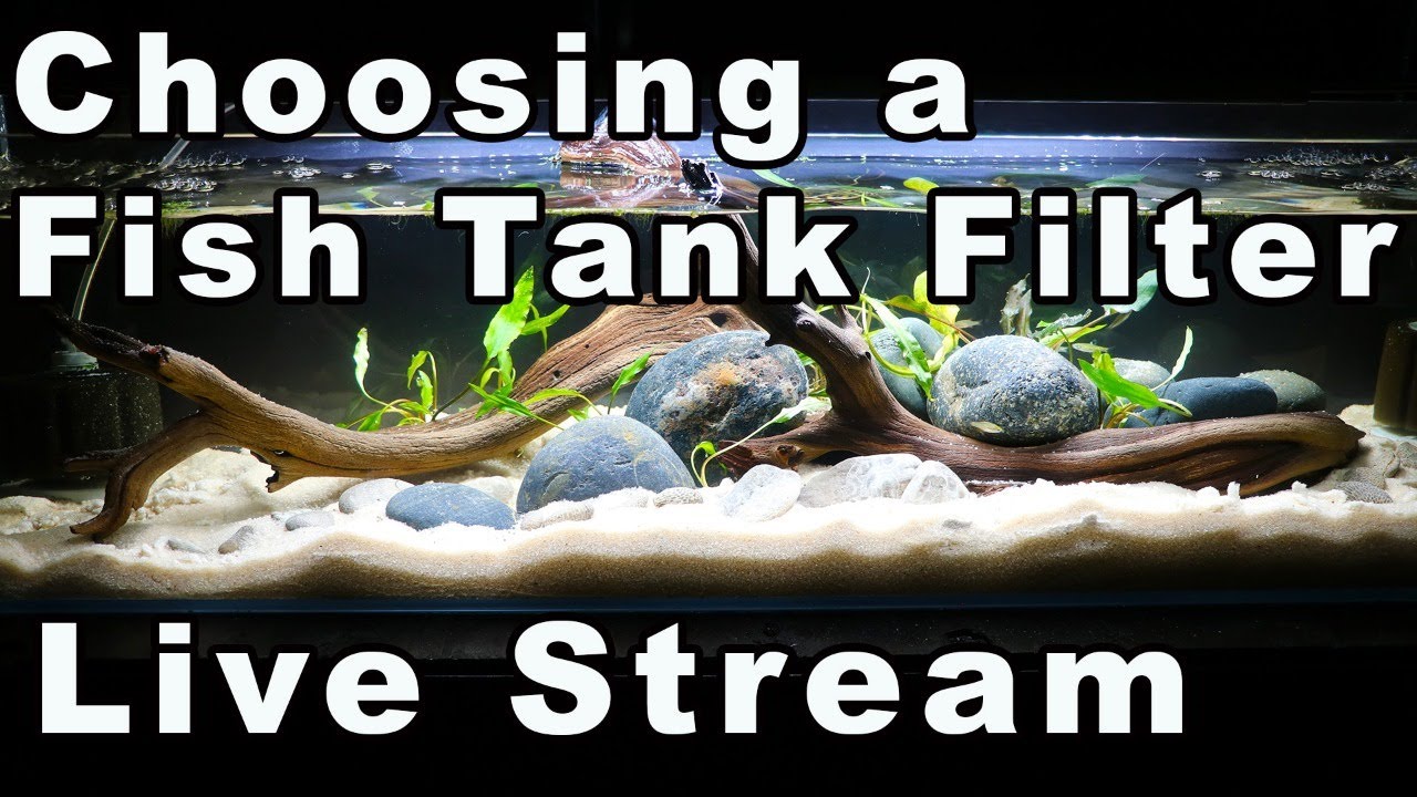 How To Choose The Right Filter Type How We Decide YouTube how-to-choose-the-right-filter-type-how-we-decide-youtube