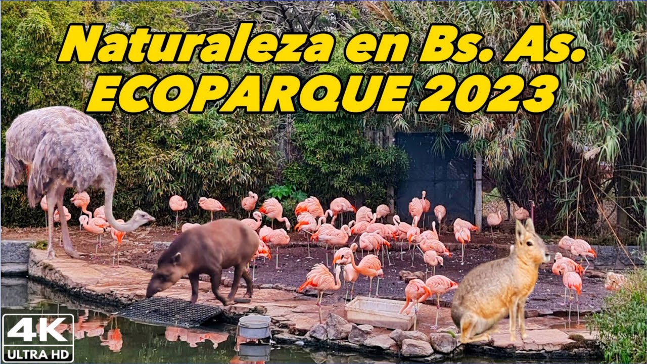 【4K】NATURALEZA PURA en🦒 BUENOS AIRES - ECOPARQUE, Ex-Zoológico, Walking ...