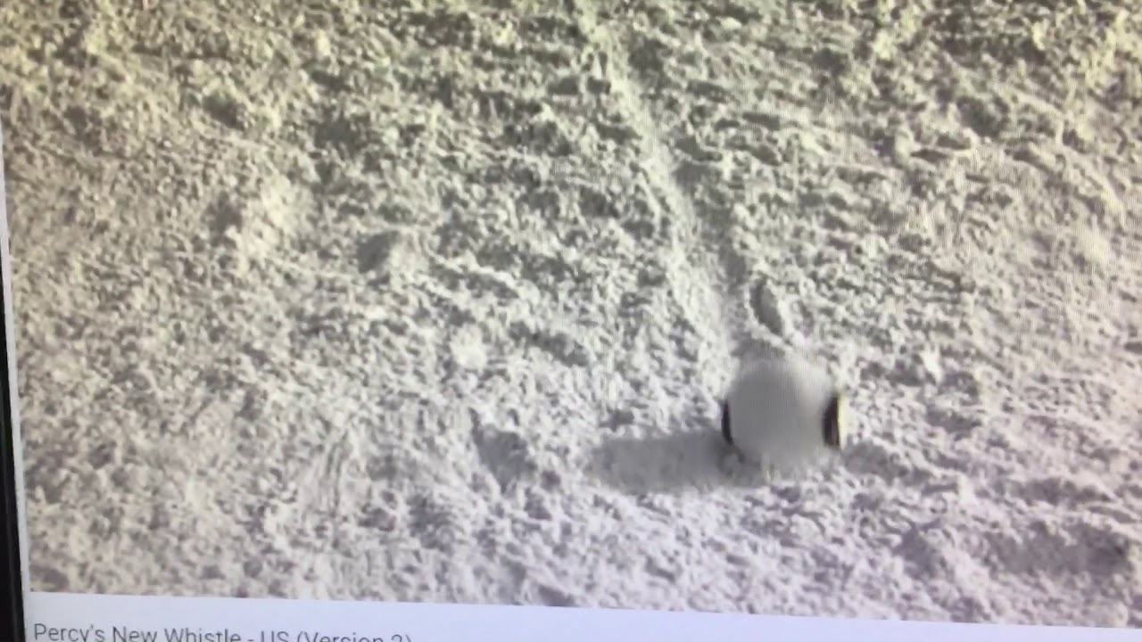 The Giant Snowball Rolling Down The Hill Snow Stuck To The Log - YouTube