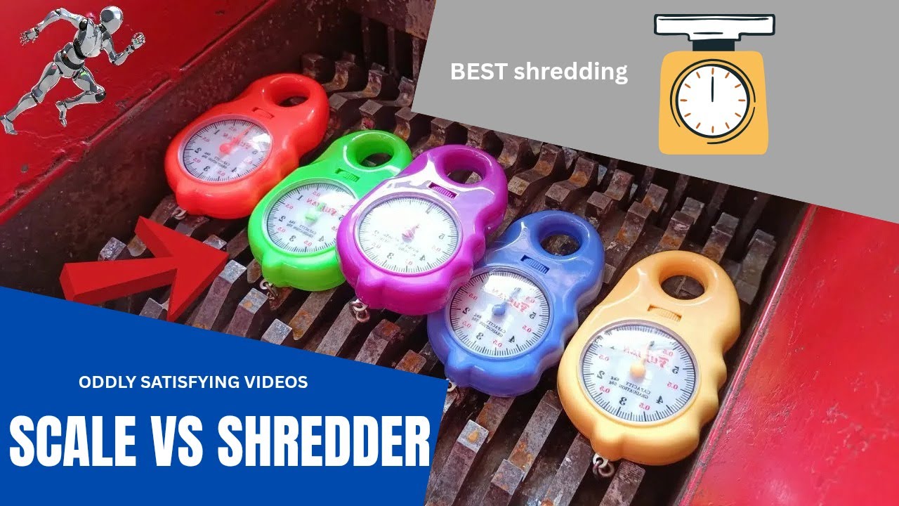 Scale vs Shredder | Top 50 Most Insane Shredding Moments! NEVER DO THIS ...