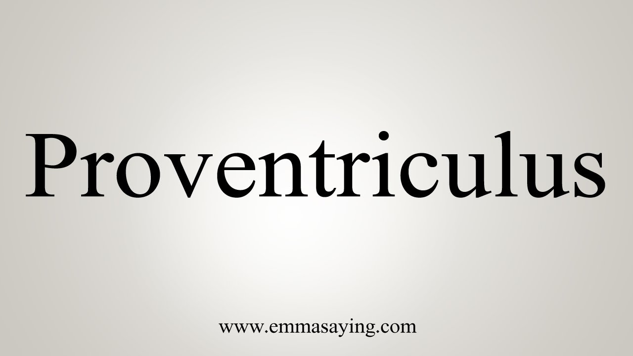 How To Say Proventriculus - YouTube