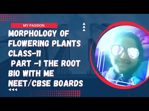 Morphology of flowering plants| Class-11| Bio with me| #biology| # ...