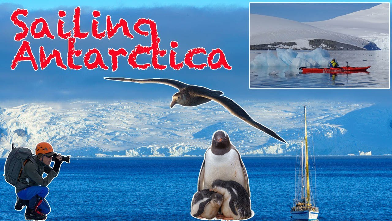 Adventure: Sailing the Antarctic Peninsula – Spectacular Wildlife ...