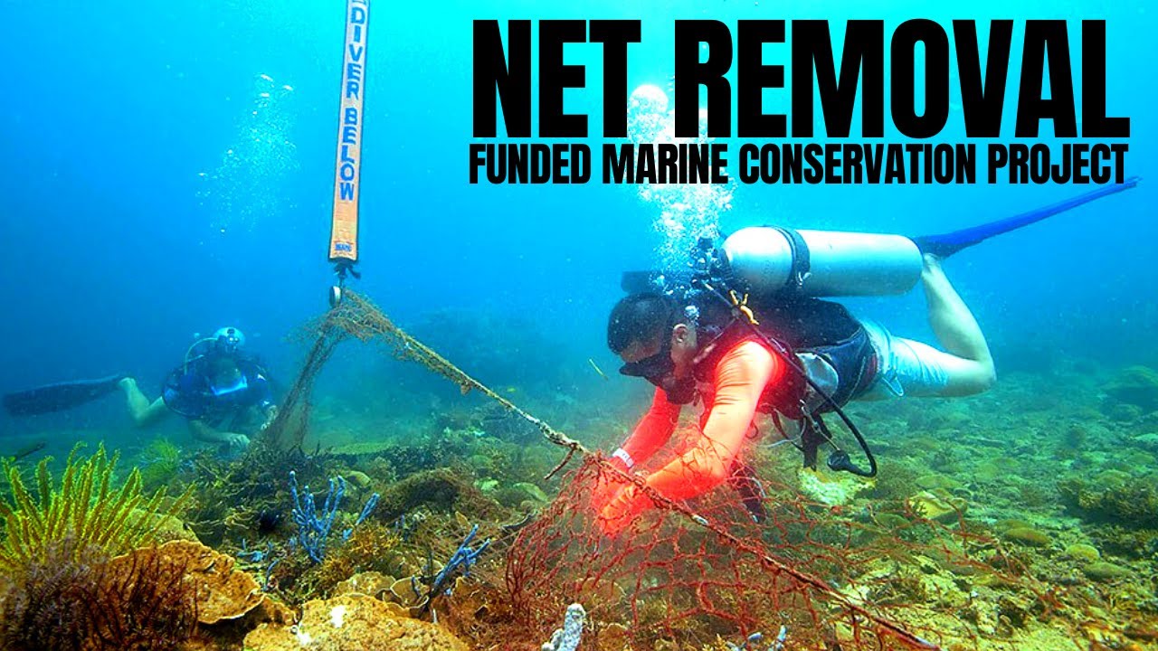 WE DID IT! Back to Work For Conservation - Fishing Net Removal at Coral ...