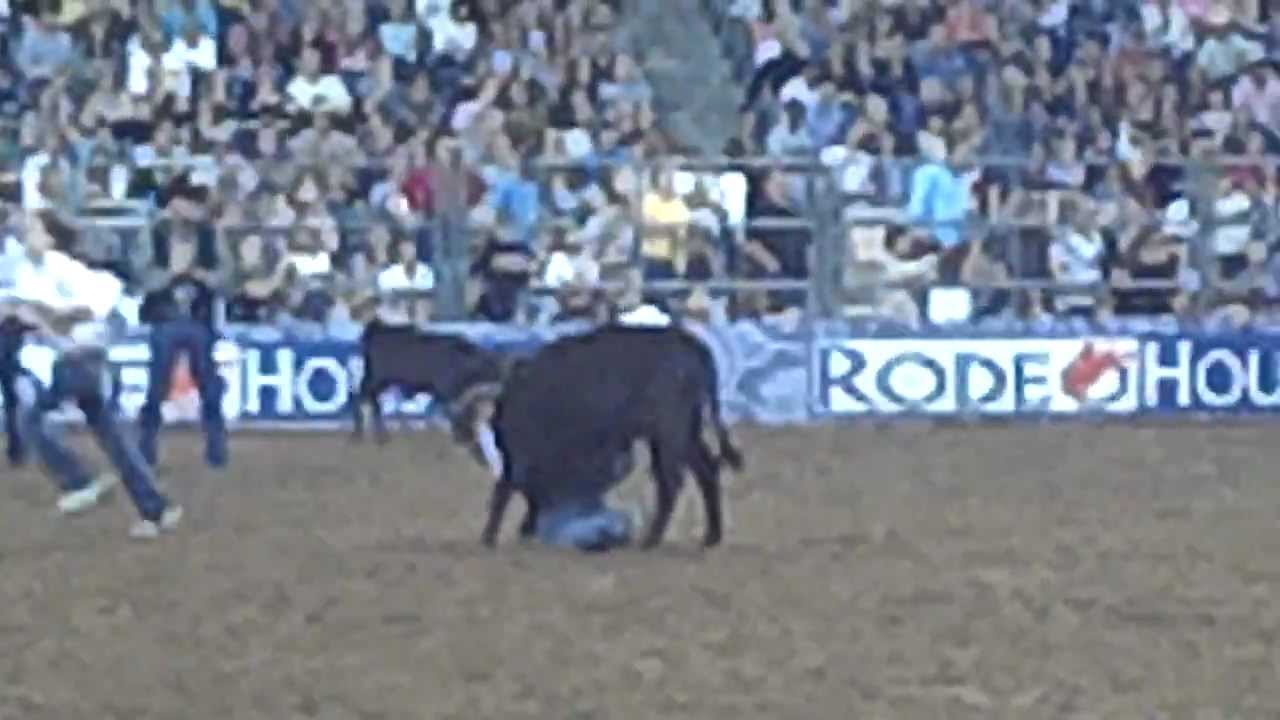 Houston Livestock Show & Rodeo March 16, 2012 - Calf Scramble - YouTube