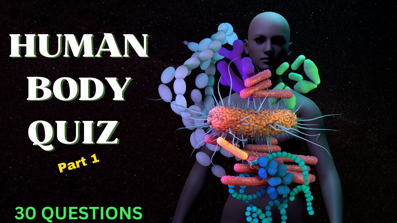 Human Body Quiz! Can You Pass This Biology Test? | #Quiz #Trivia - YouTube