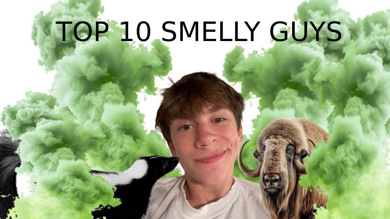 TOP 10 SMELLY ANIMALS - YouTube