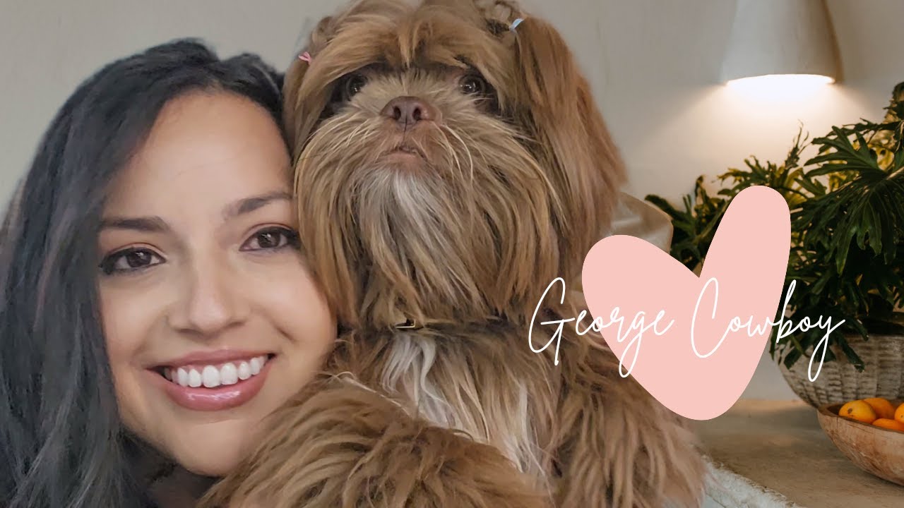 Another day with gorgeous George 🥰 - YouTube