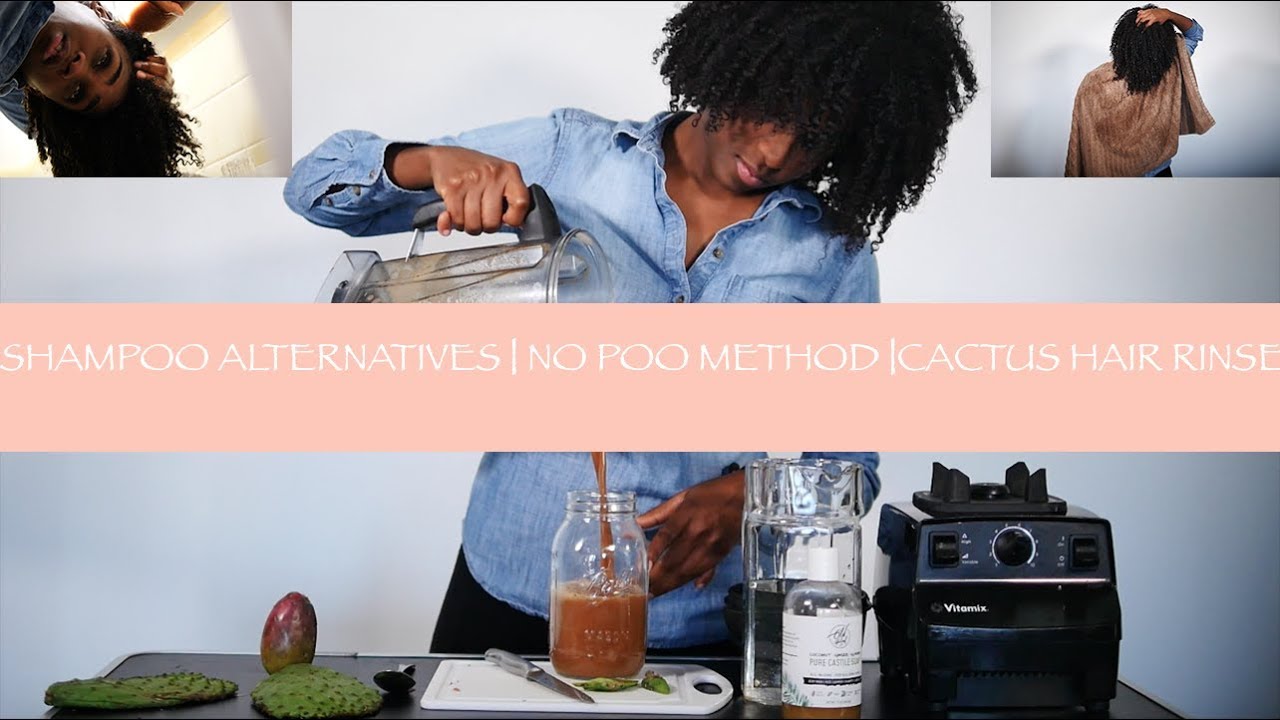Shampoo Alternatives | No POO Method | Cactus Hair Rinse - YouTube