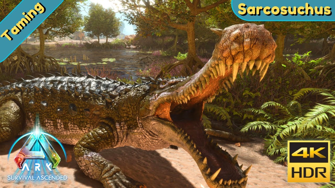 ARK Survival Ascended : Tame a Sarcosuchus - YouTube