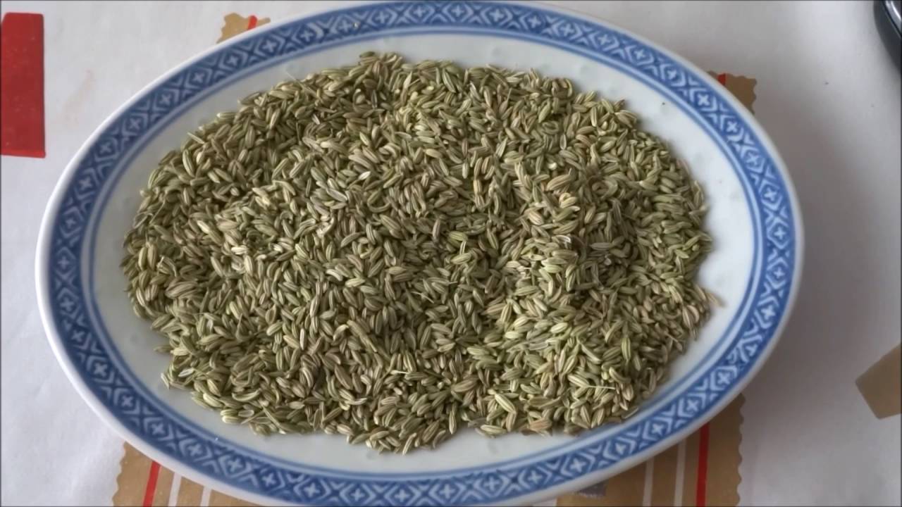Bienfaits du fenouil - YouTube