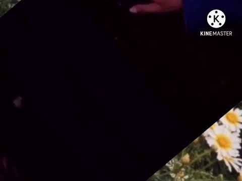 مو خوش عالم حالات واتساب