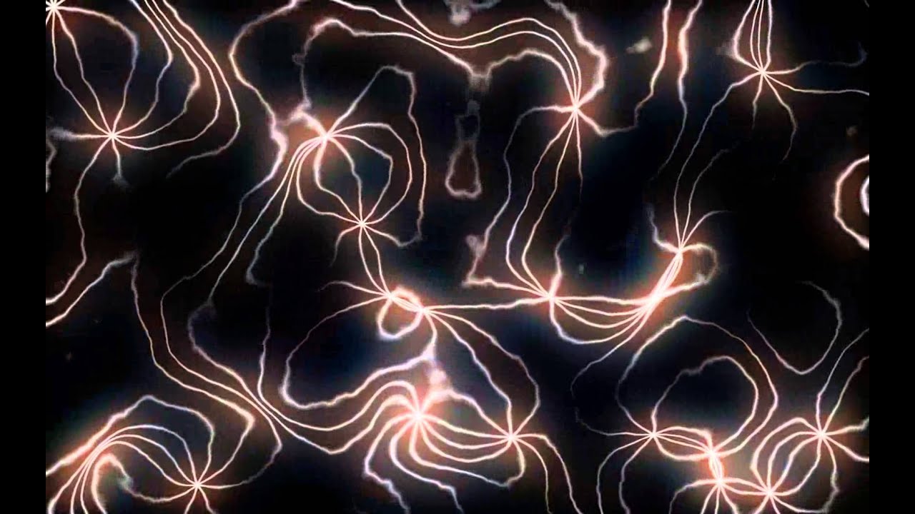 Neurons FREE Video Background 1080p - YouTube