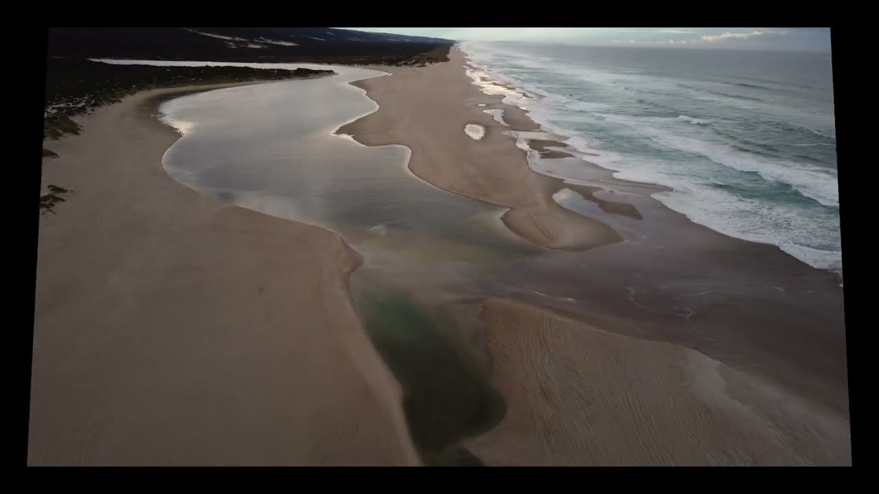 DJI Magic Mini and Air 2 Footage Pemberton, Yeagarup 2023 - YouTube