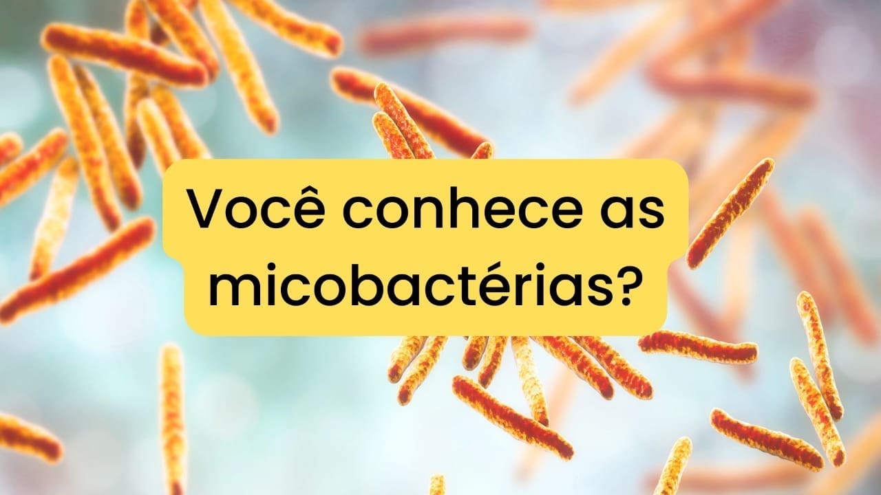 Principais características das micobactérias - YouTube