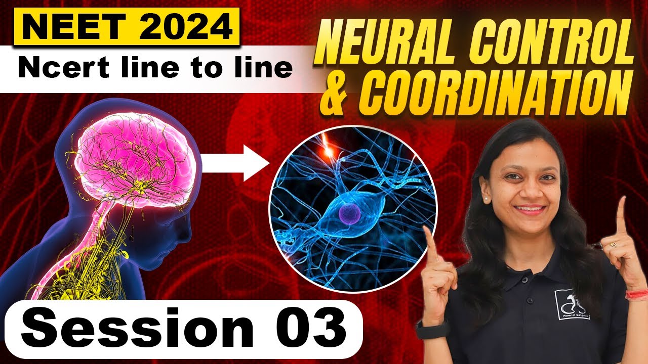 Neural control and coordination - 3 | Transmission of imulse by SYNAPSE ...