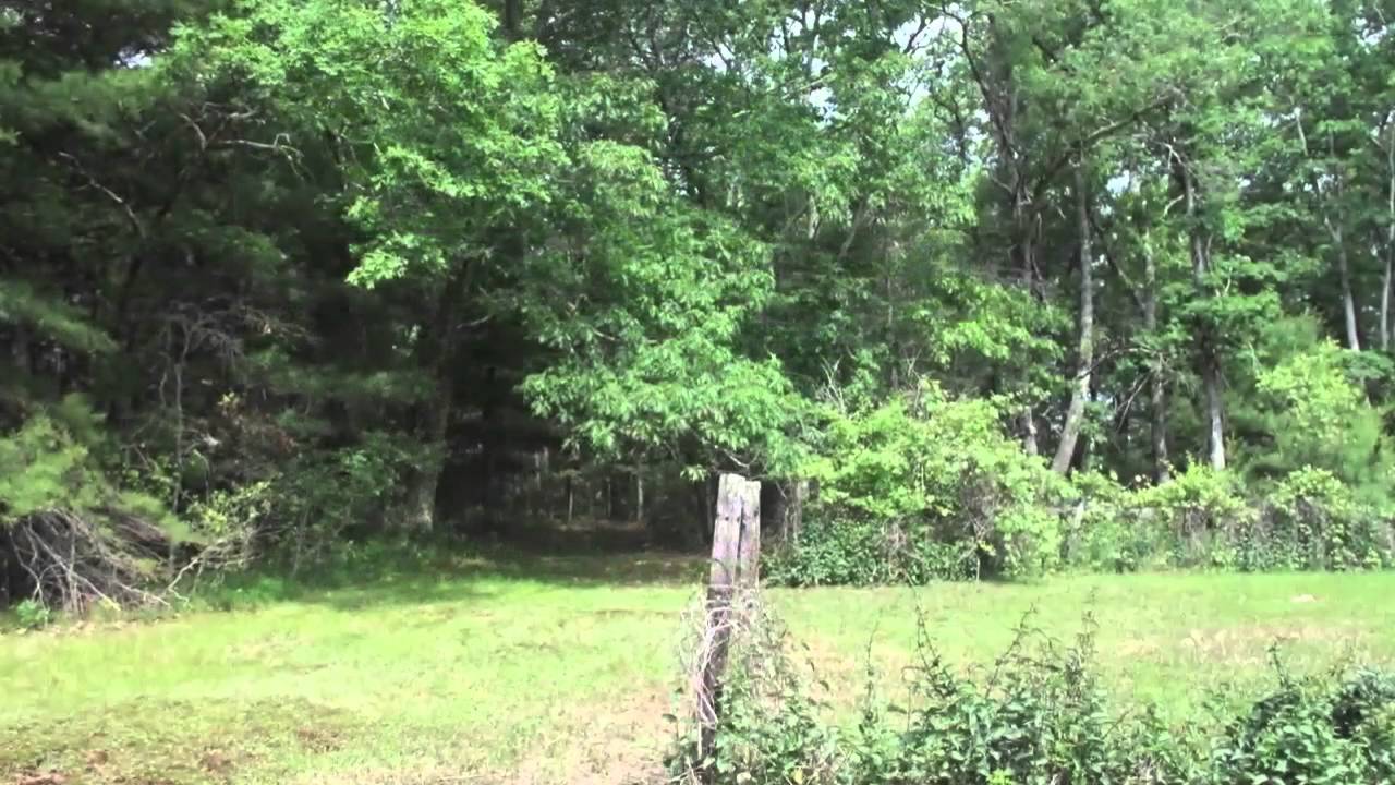 Pawcatuck River Preserve - YouTube