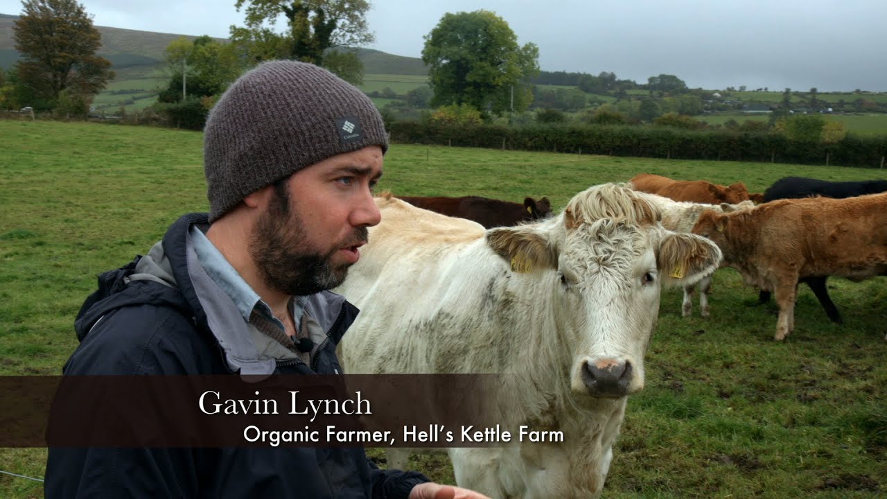 Eco Eye 13. Extended Interviews with organic farmer Gavin Lynch - PT2 ...