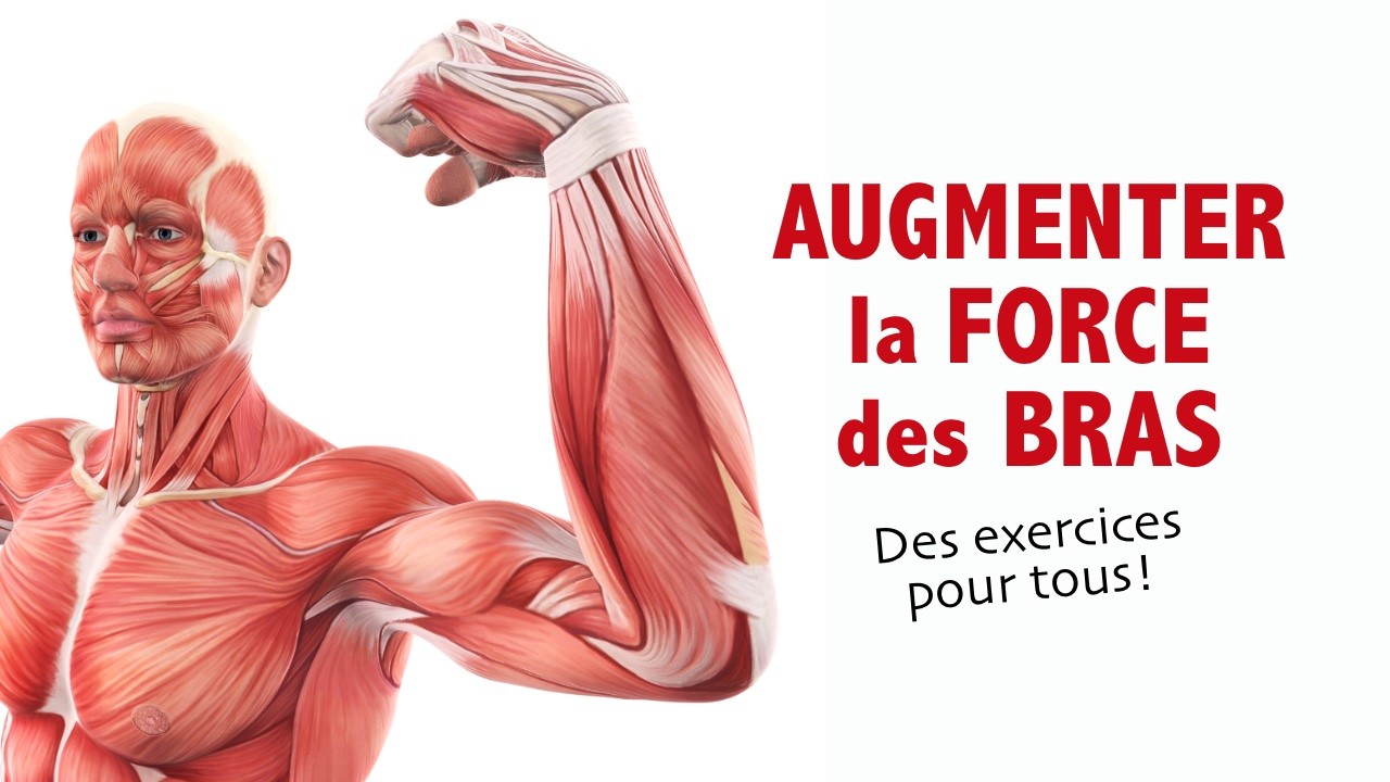 Augmenter la FORCE des BRAS: 7 exercices en 9 minutes... pour tous ...