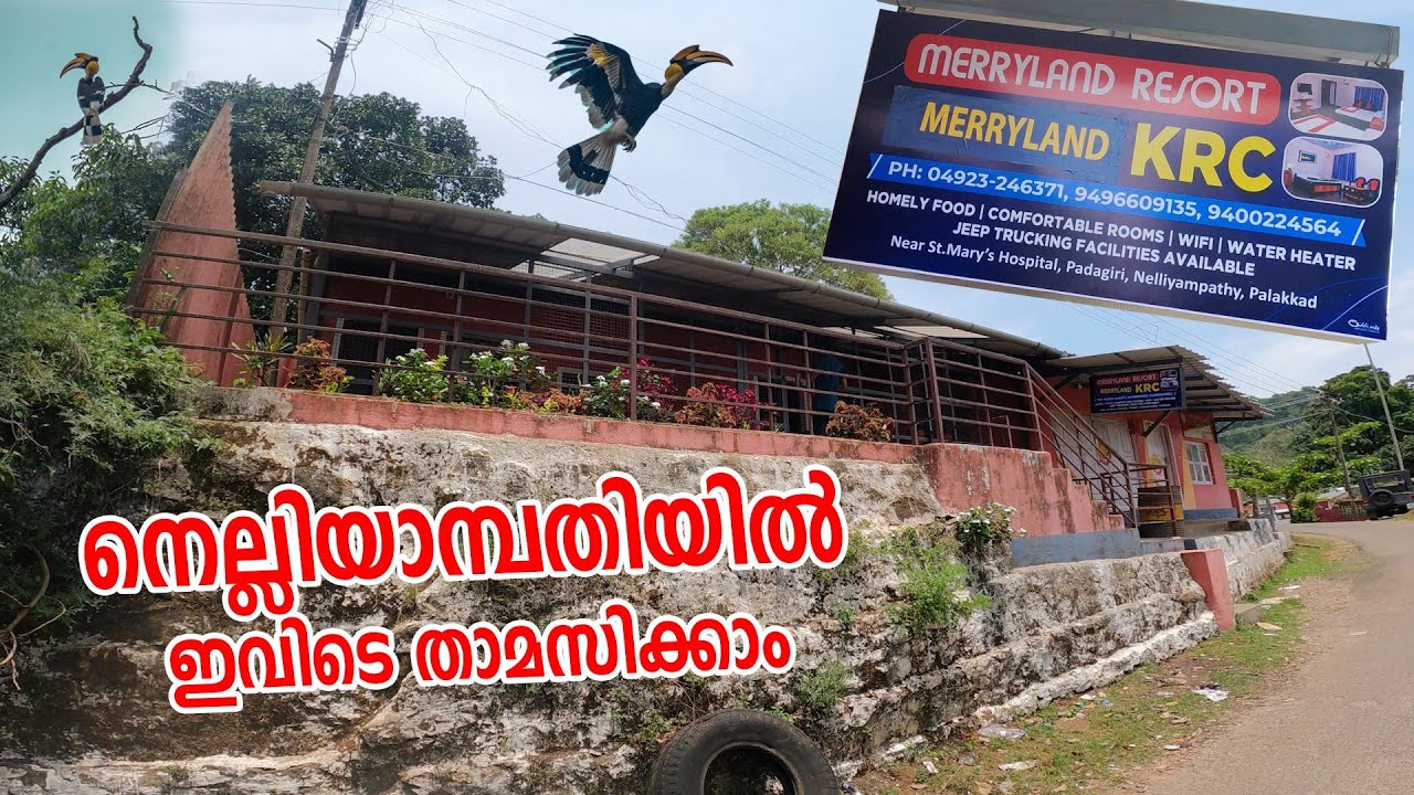നെല്ലിയാമ്പതിയിൽ ഇവിടെ താമസിക്കാം | MerryLand Resort | Padagiri #travel ...