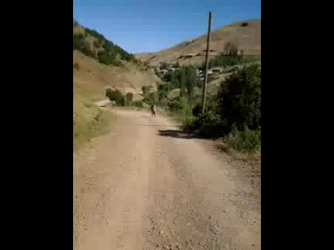 Köyü basmışlar