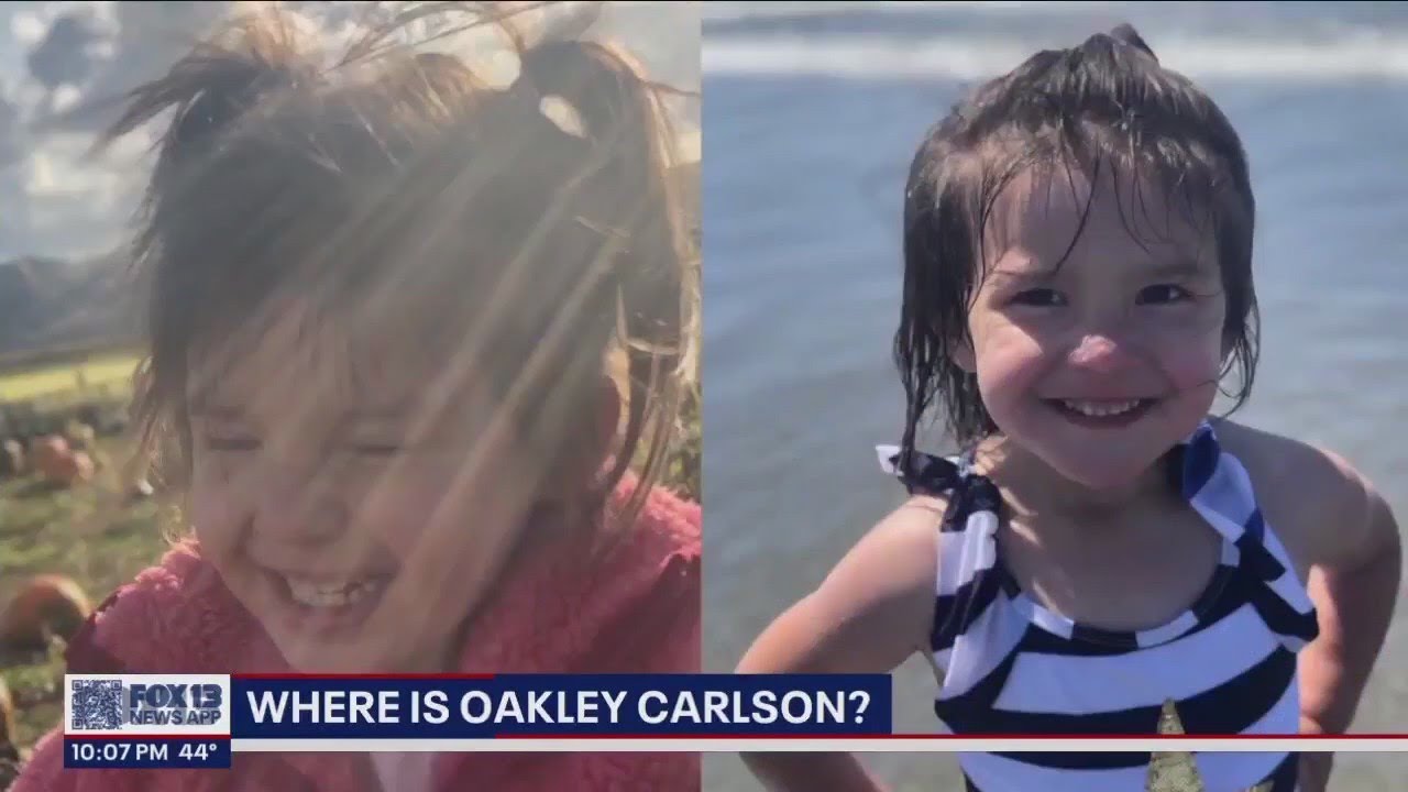 Oakley Carlson case: Mother released from jail, immediately arrested ...