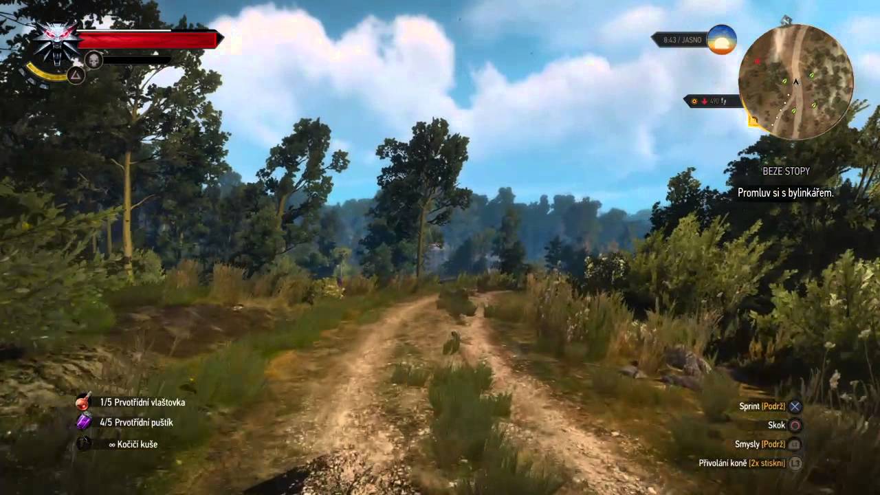 The Witcher 3: Wild Hunt - First Person Witcher? :D - YouTube