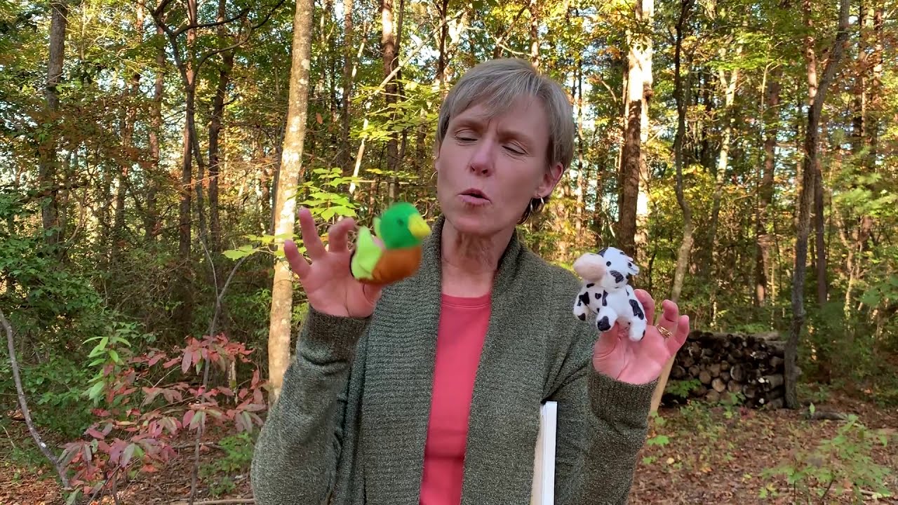 Baby & Me: Help Baby Learn to Talk with Vocal Play - YouTube