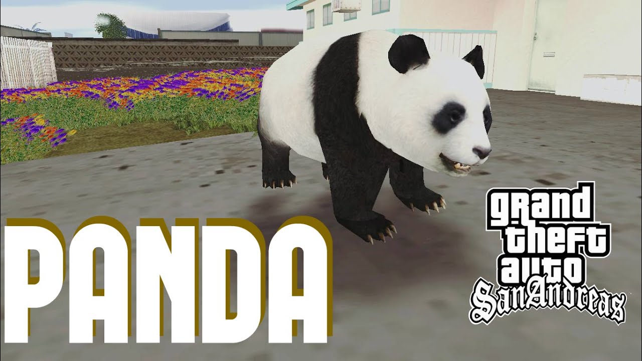 Giant Panda GTA SA [DOWNLOAD LINK] - YouTube