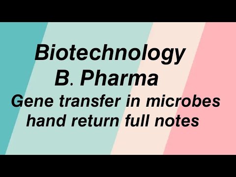 Gene transfer in microbes | biotechnology | B. Pharma | - YouTube