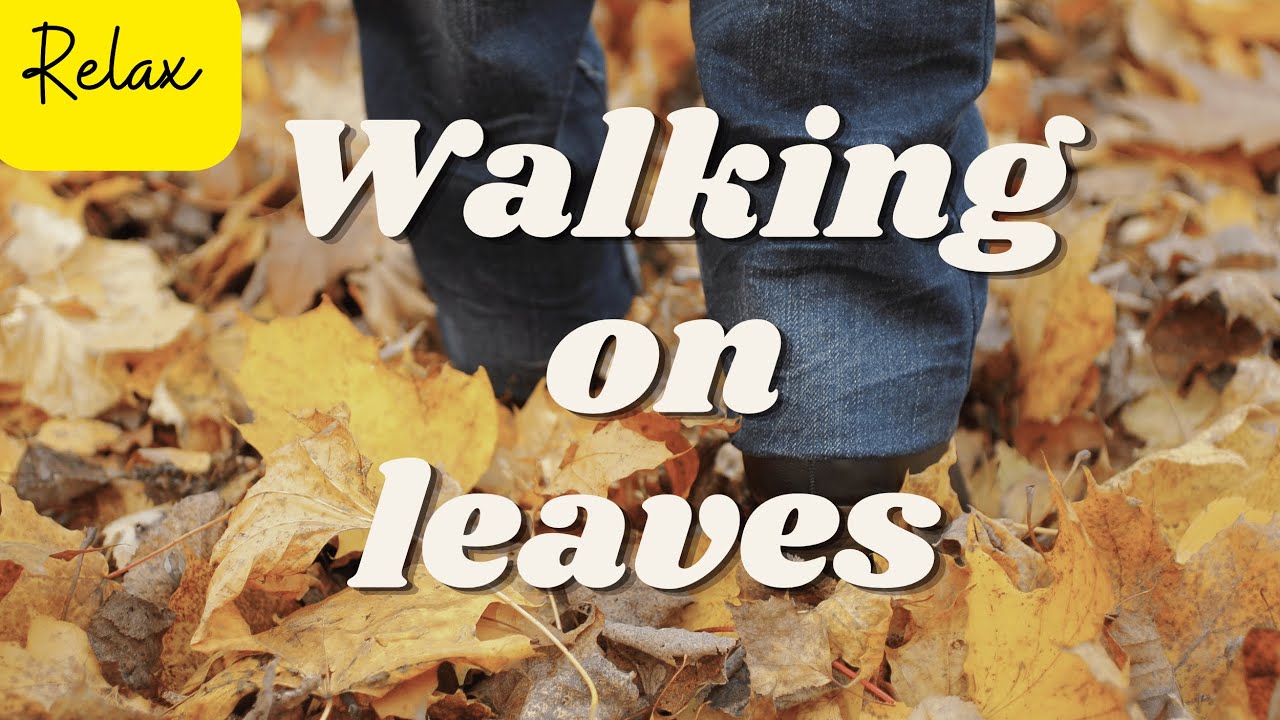 Walking On Leaves Sound Effects | Relaxing Leaves Rustling 1 Hour - YouTube