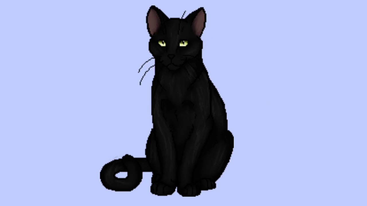 All shadowclan leaders in order - YouTube