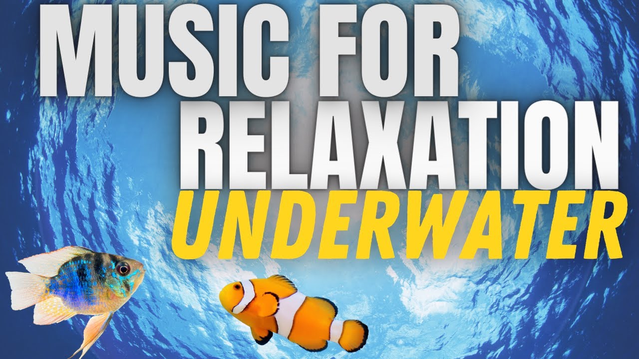 Music For Relaxation: Underwater Video Footage - YouTube