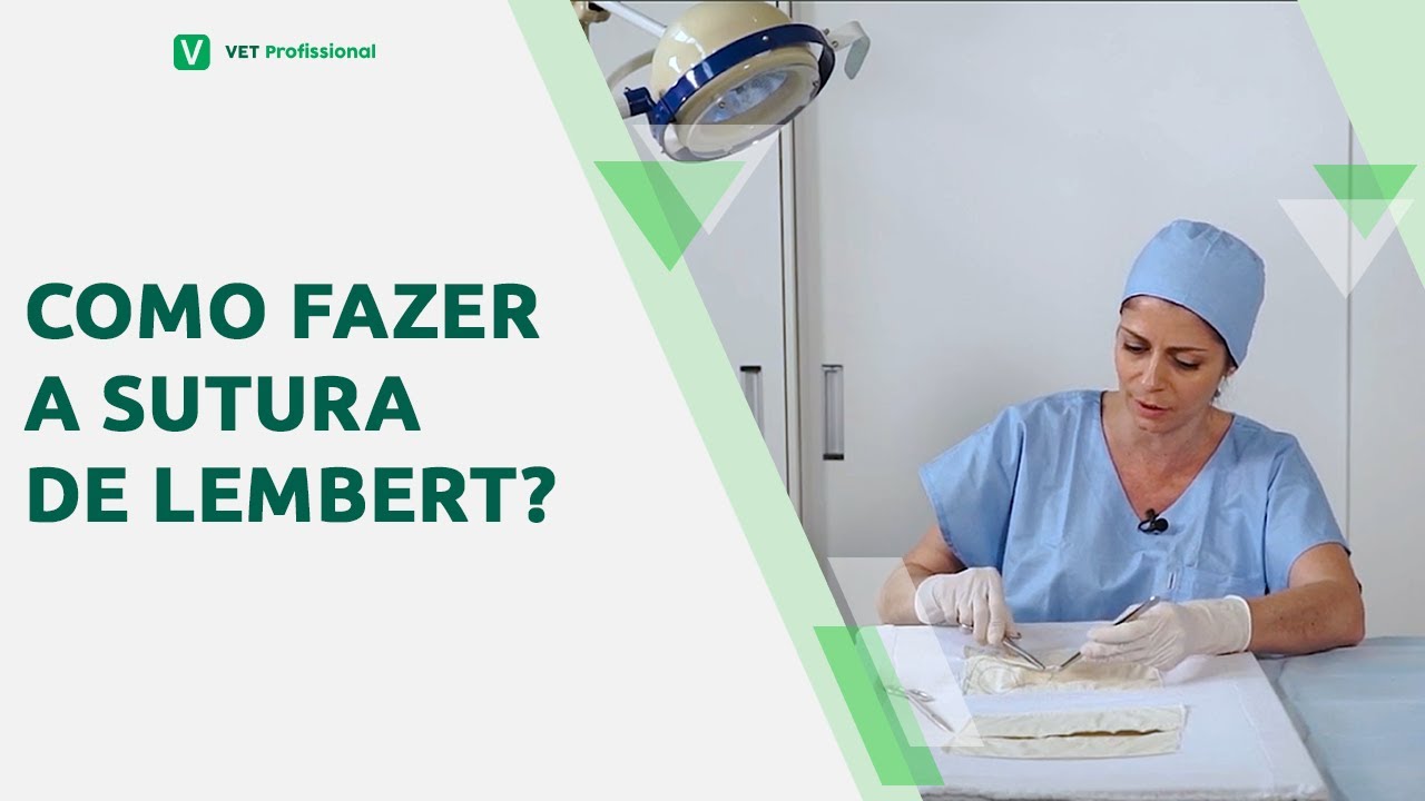 Sutura de Lembert - um passo a passo - YouTube