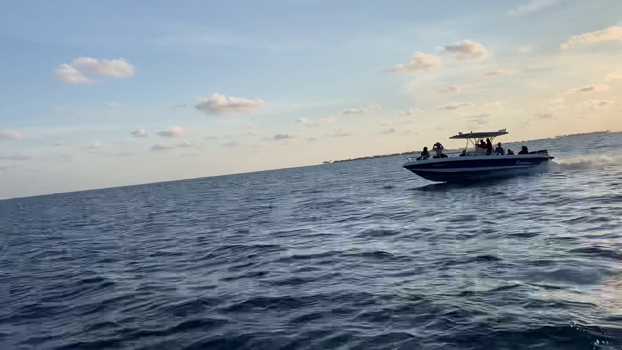 Quality speed boat by Lailoo - YouTube