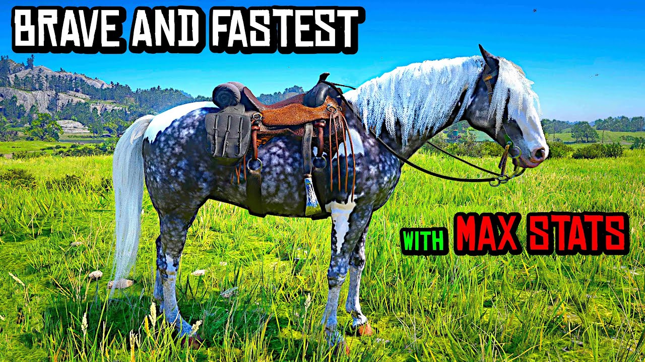 RDR2 - 6 Horses with the Highest Stats in Chapter 2 | Red Dead ...