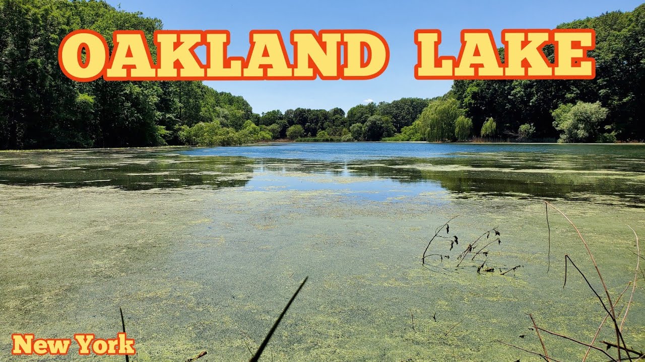 THE BEAUTIFUL OAKLAND LAKE||BAYSIDE||QUEENS||NEW YORK (June 12, 2020 ...