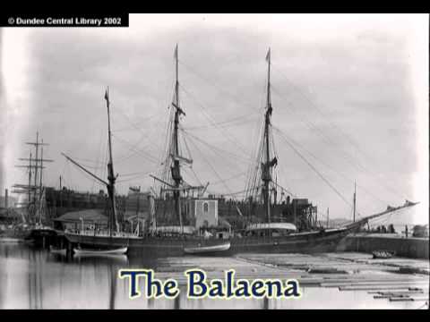 The McCalmans - The Balaena - YouTube