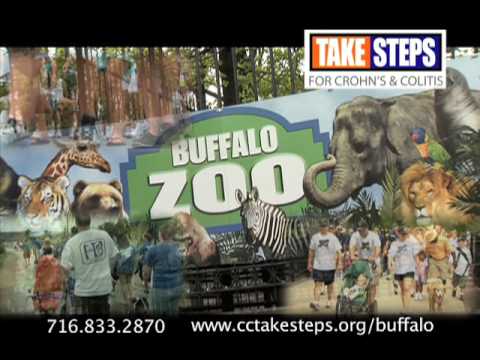 CCFA "Take Steps" Walk - YouTube