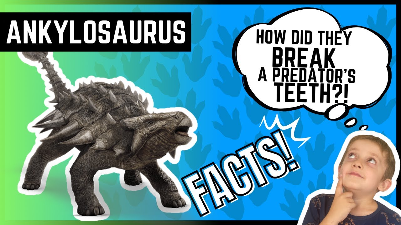ANKYLOSAURUS | Educational Dinosaur FUN Facts (FOR KIDS!) - YouTube